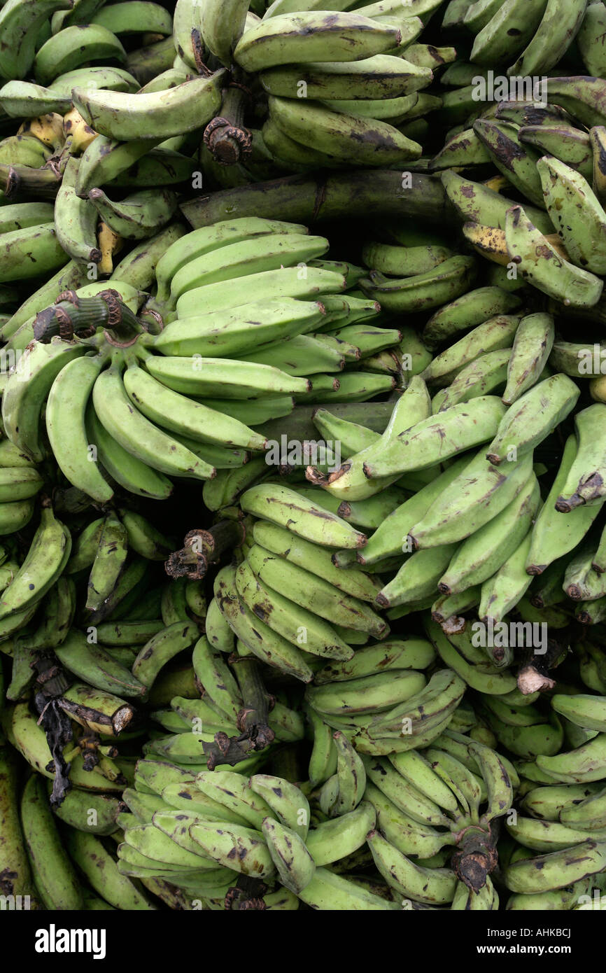 Clump of bananas hi-res stock photography and images - Alamy
