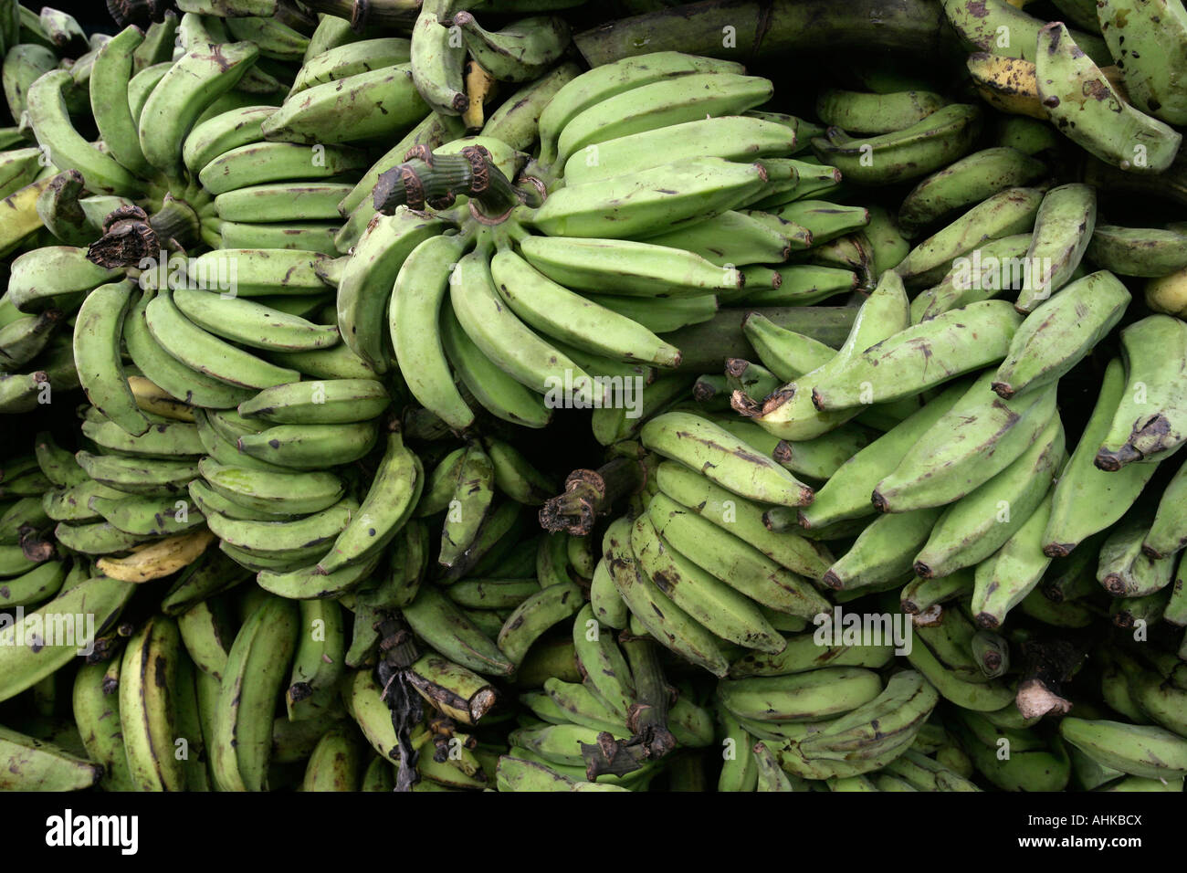 Clump of bananas hi-res stock photography and images - Alamy