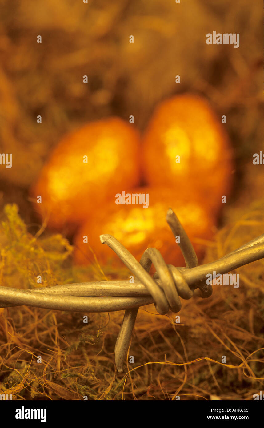 Protected nest egg Stock Photo - Alamy