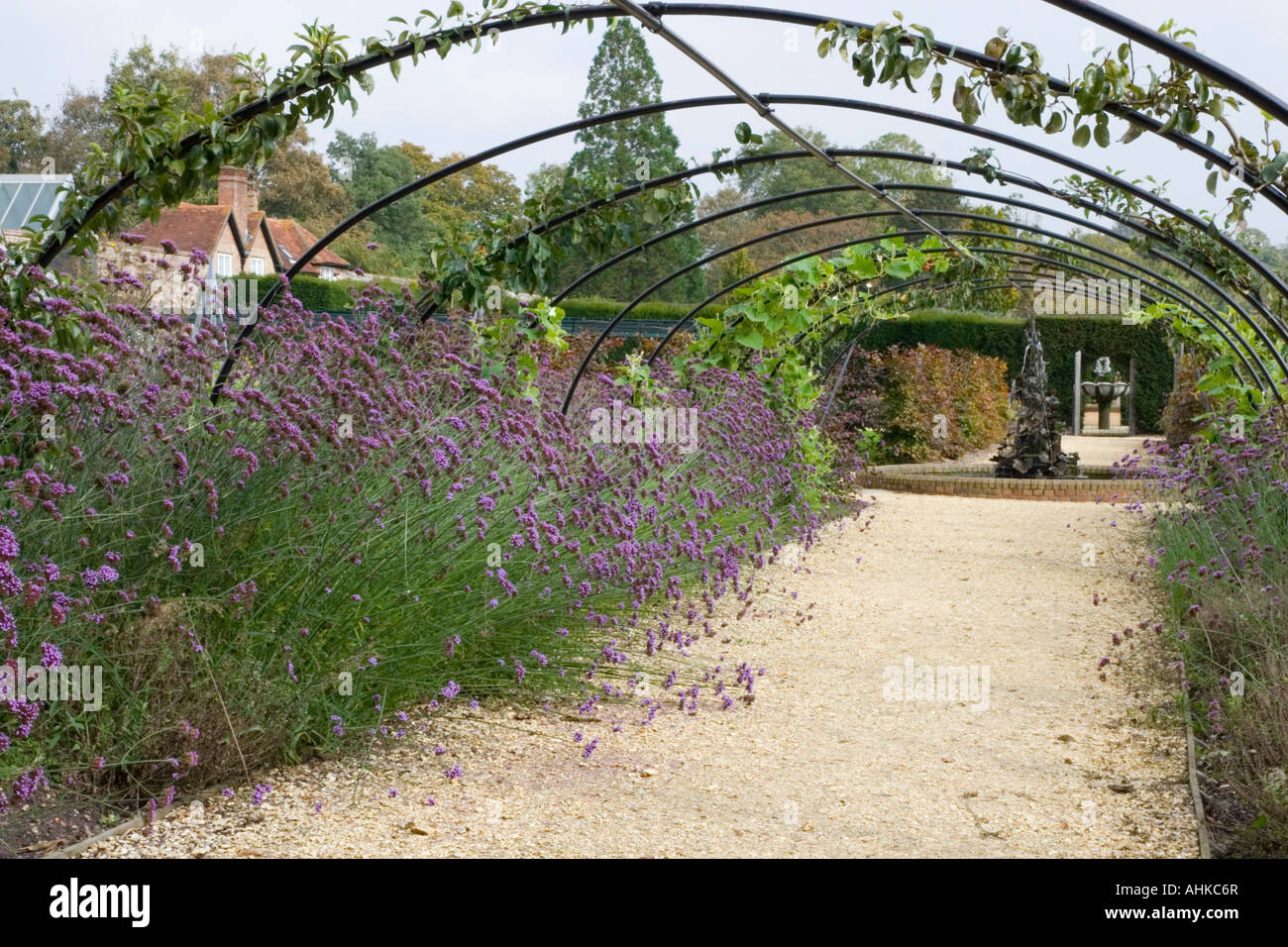 Garden Archway with Lavender plants and Climbing Plants, Dorset, UK ...