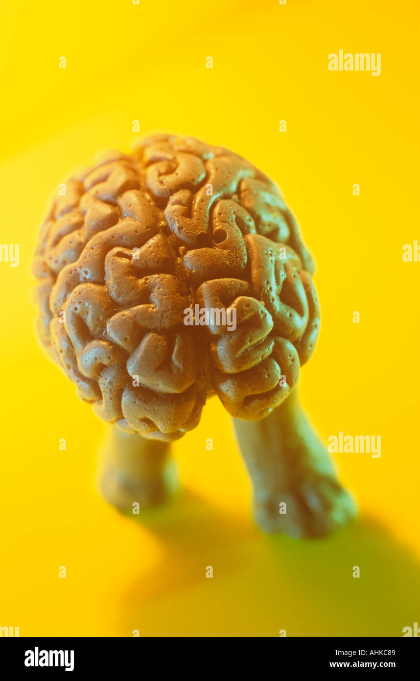 Brain on legs Stock Photo - Alamy