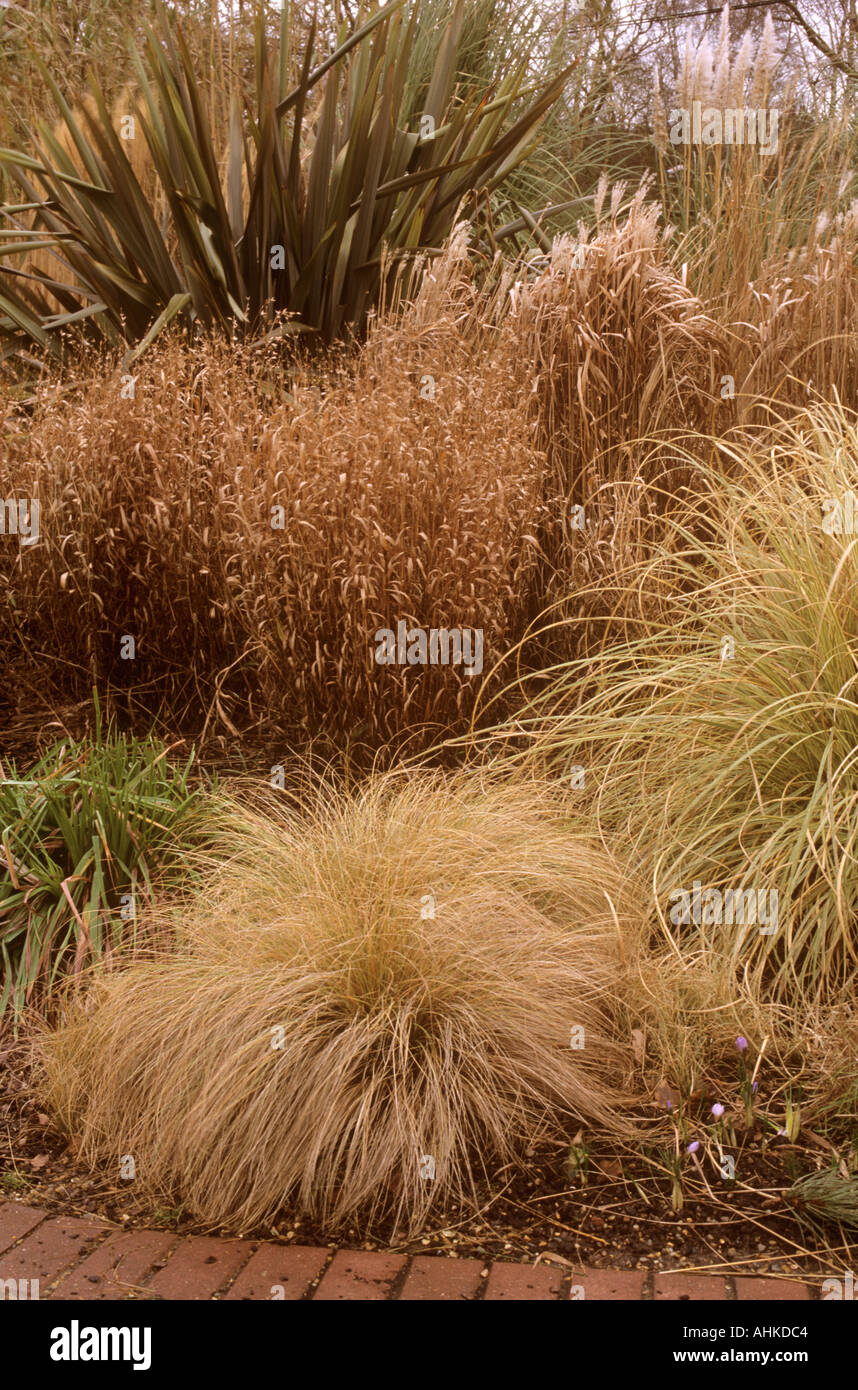 Rhs wisley surrey ornamental grasses hi-res stock photography and ...