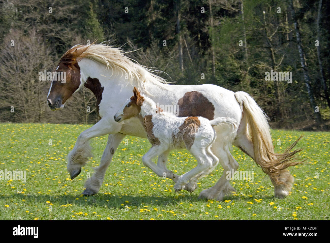 Tinkers walks hi-res stock photography and images - Alamy