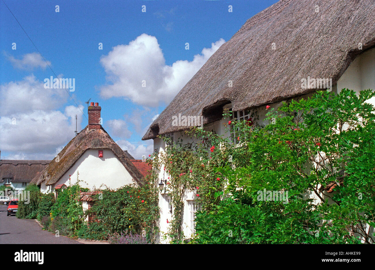 Thatched Cottages, Dorset Stock Photo - Alamy