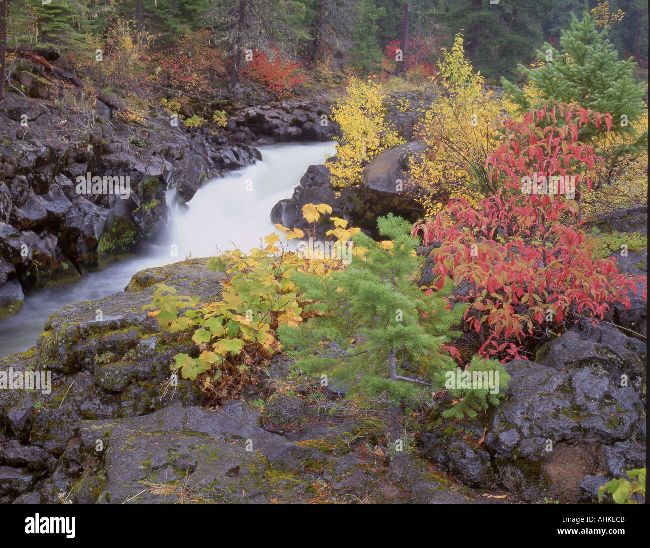 Upper rogue river hi-res stock photography and images - Alamy