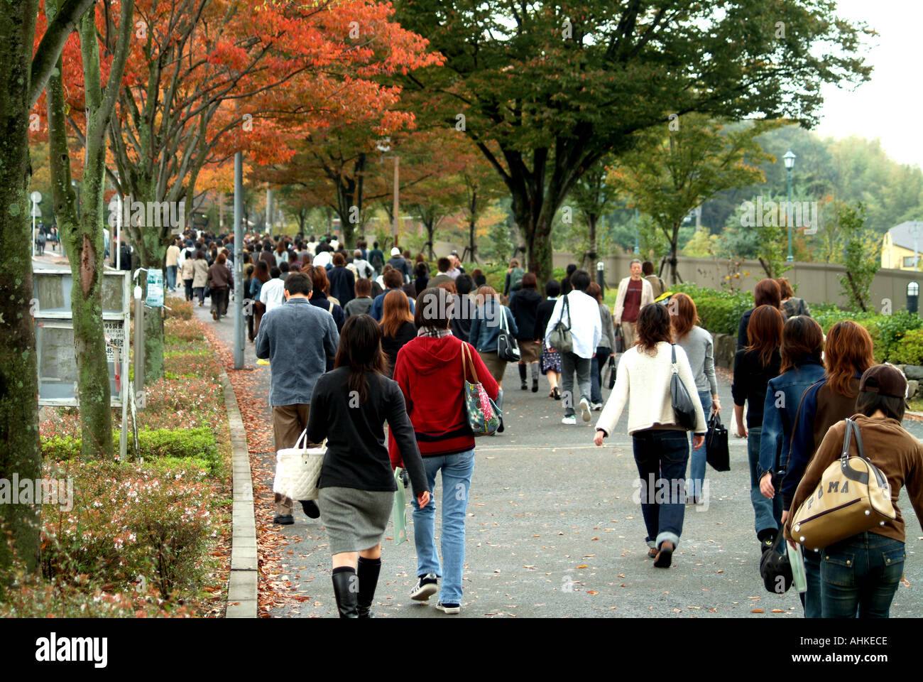 Doshisha University students walking to the university on an autumn ...