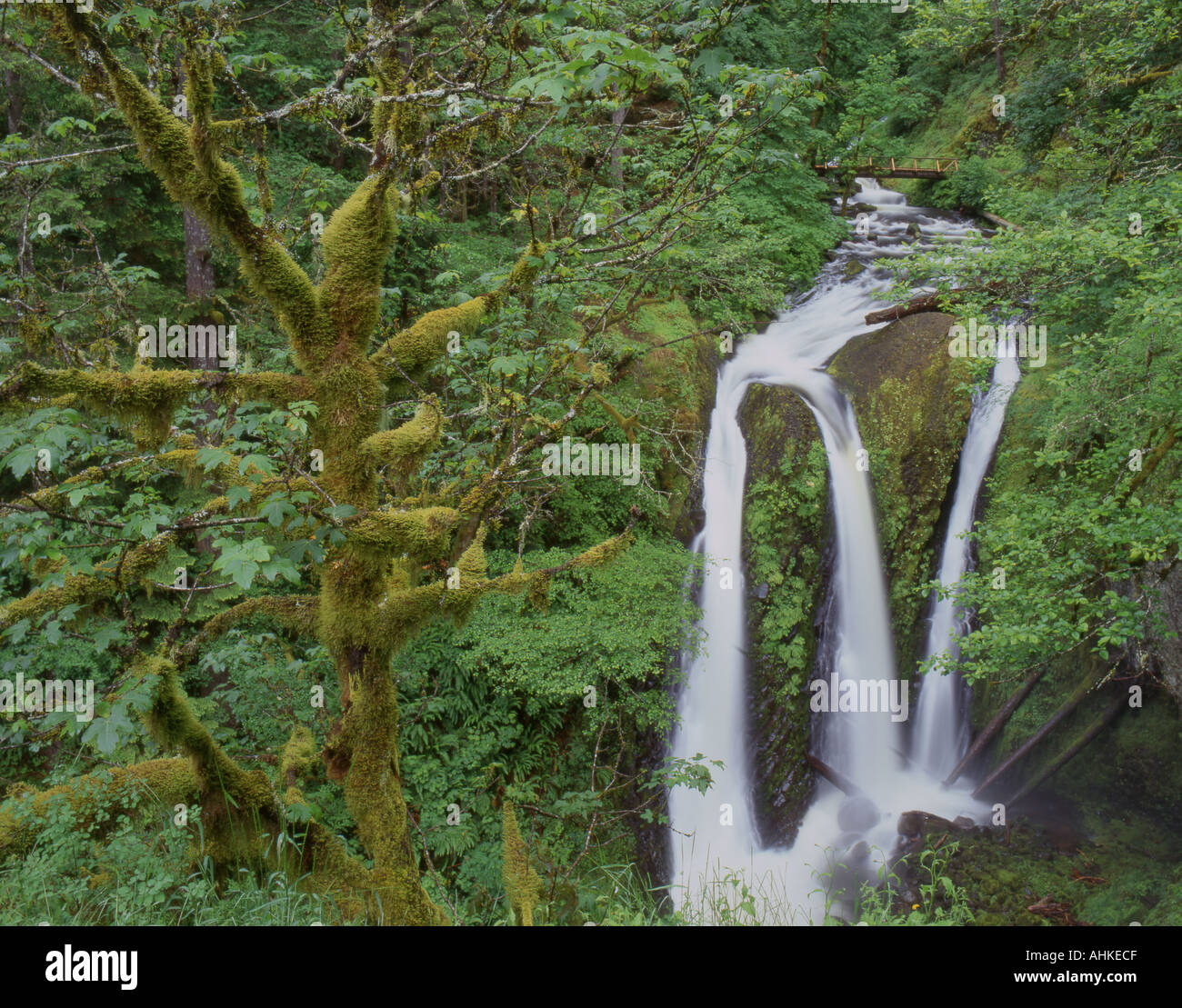 Summer view of Triple Falls in Oregon s Columbia River Gorge Stock ...