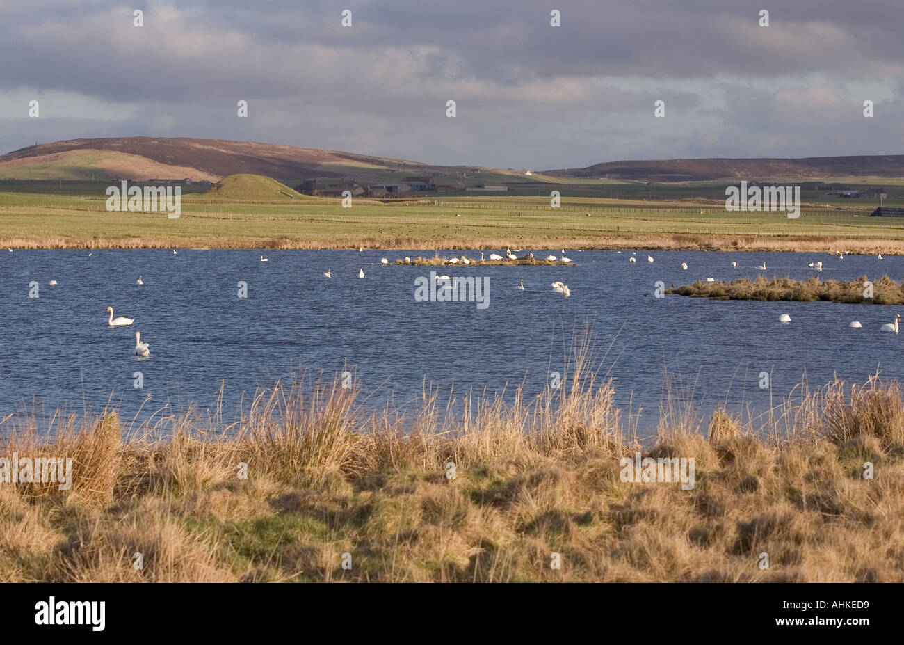 Sunset loch of harray hi-res stock photography and images - Alamy