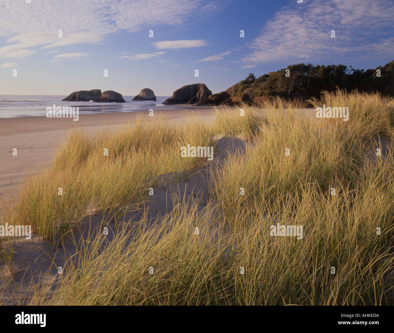 Chapman point hi-res stock photography and images - Alamy