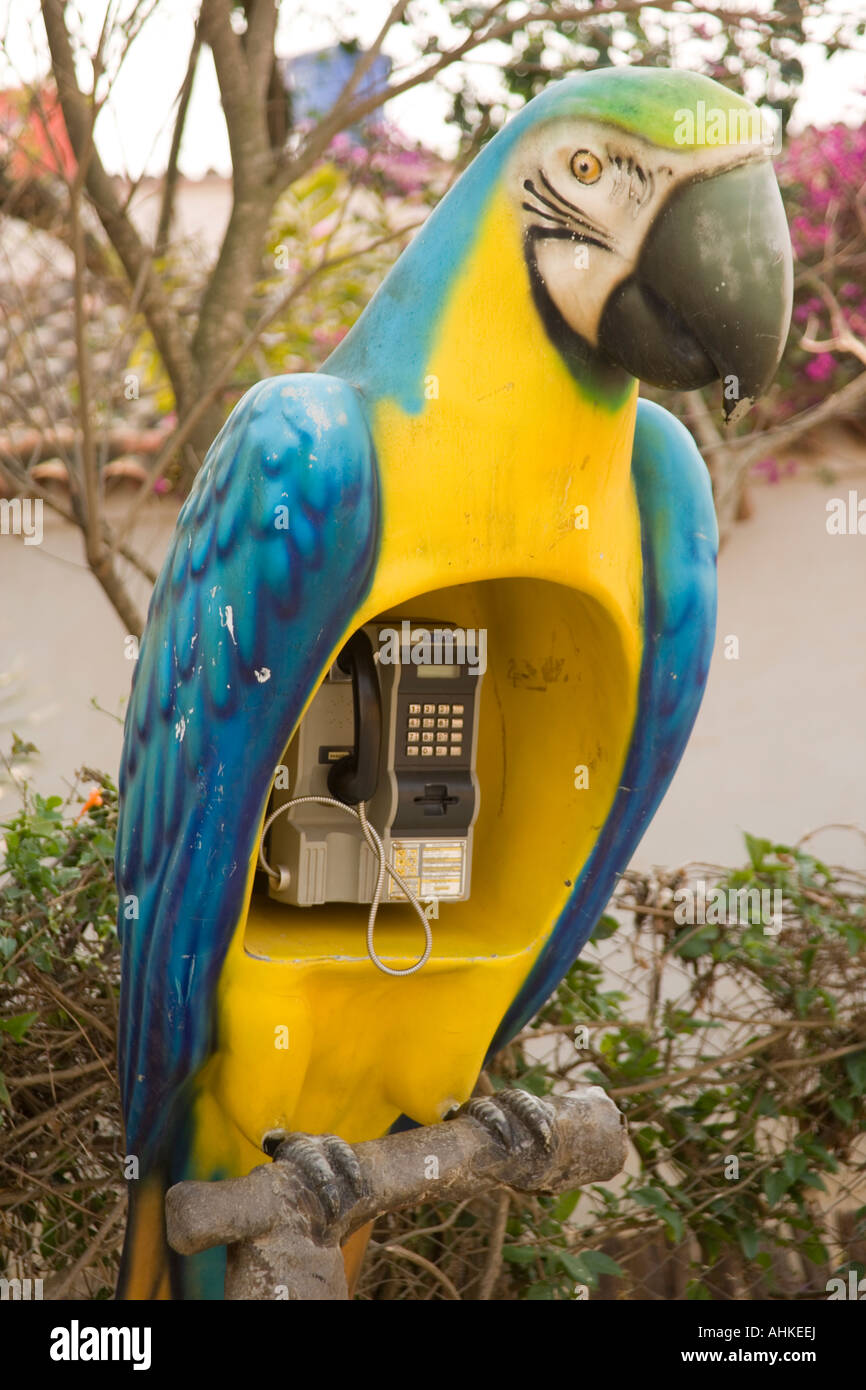 Parrot telephone box in the town of Samaipata, Llanos Orientales ...