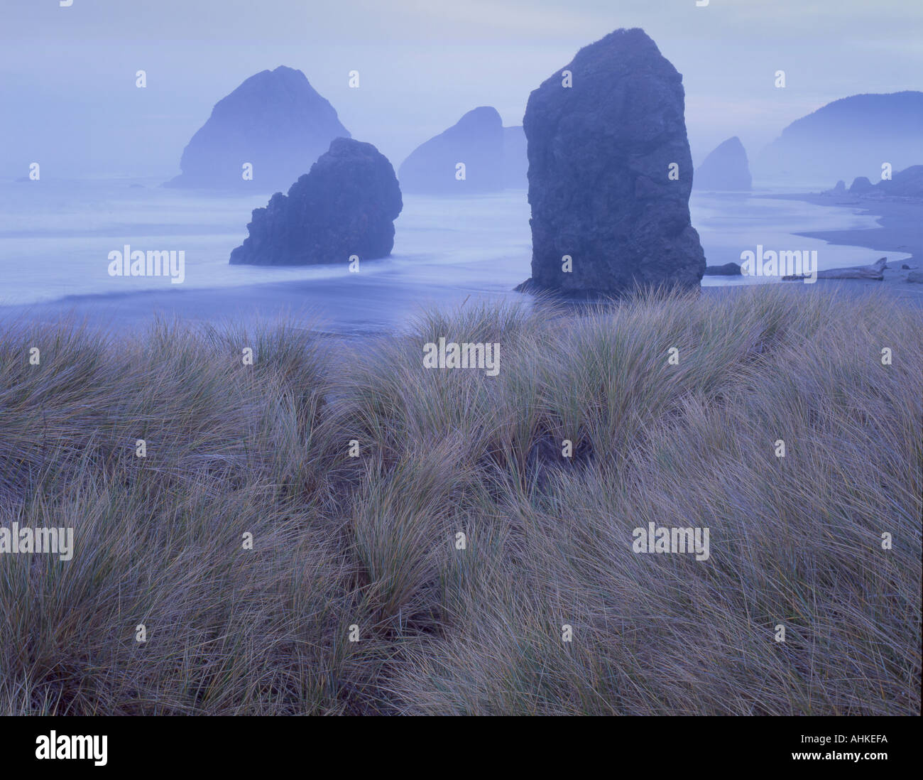 Foggy morning with the sea stacks at Oregon s Cape Sebastian Stock ...