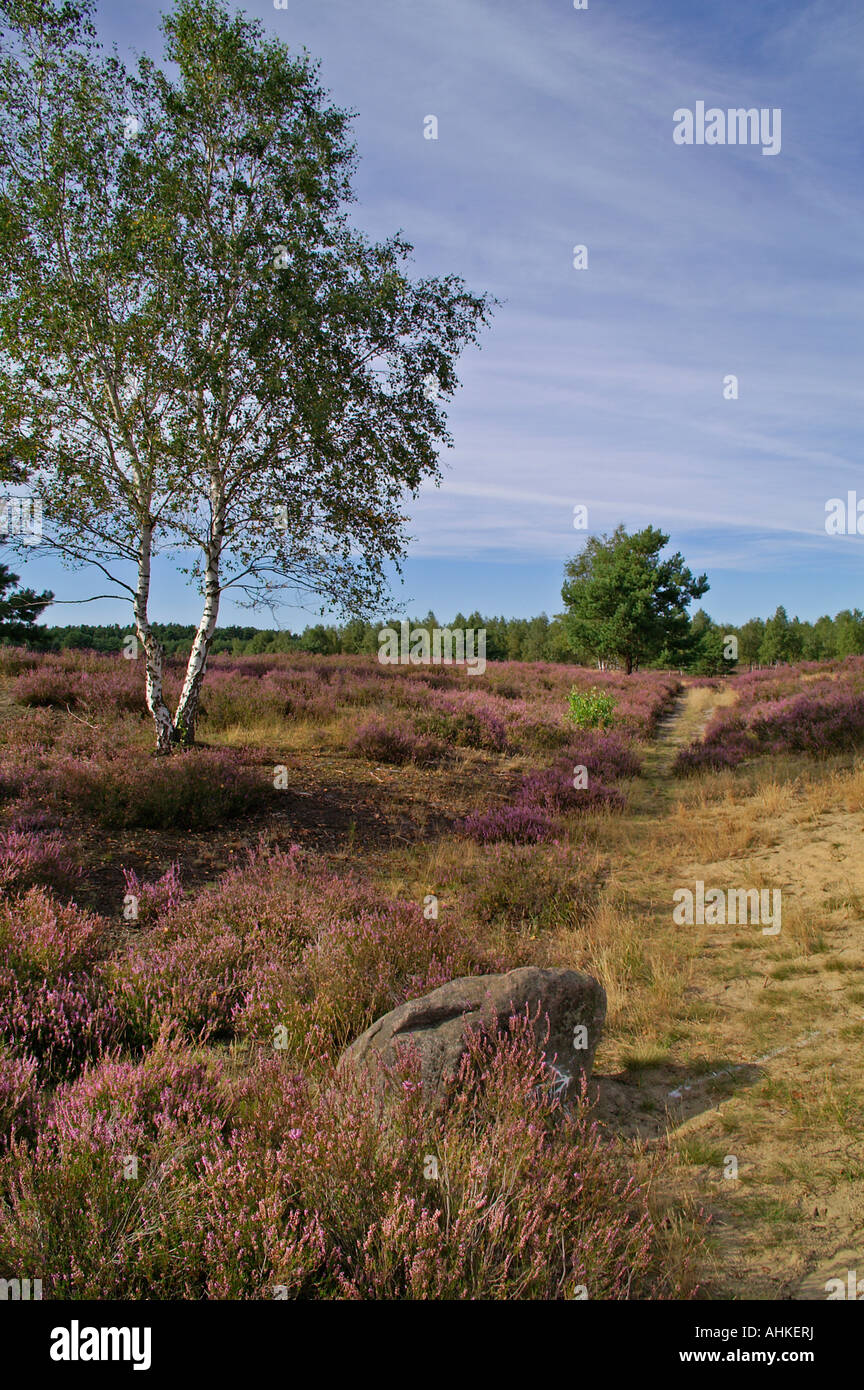 Heathland sign hi-res stock photography and images - Alamy
