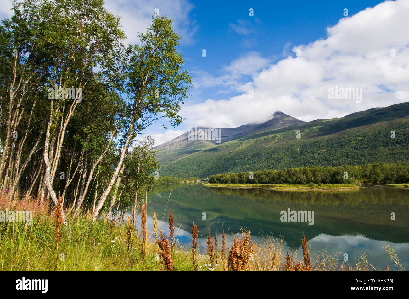 Bardu hi-res stock photography and images - Alamy