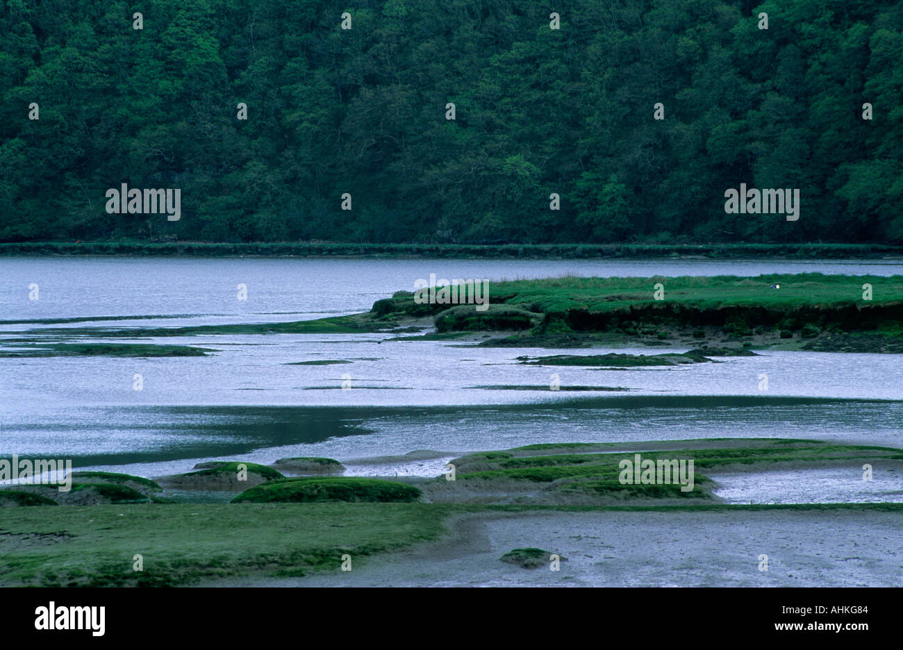 River western cleddau hi-res stock photography and images - Alamy