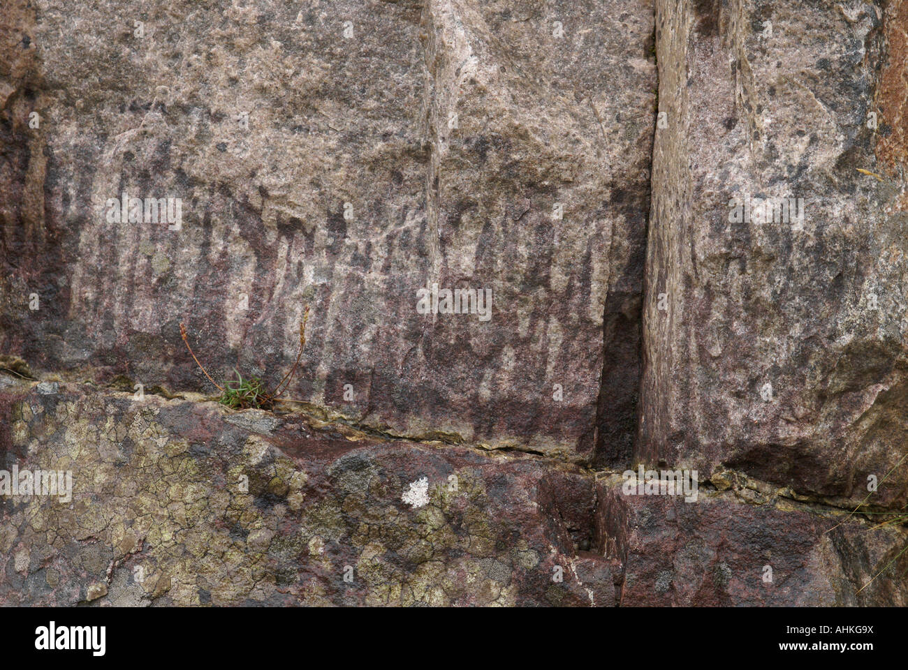 Worm burrows hi-res stock photography and images - Alamy