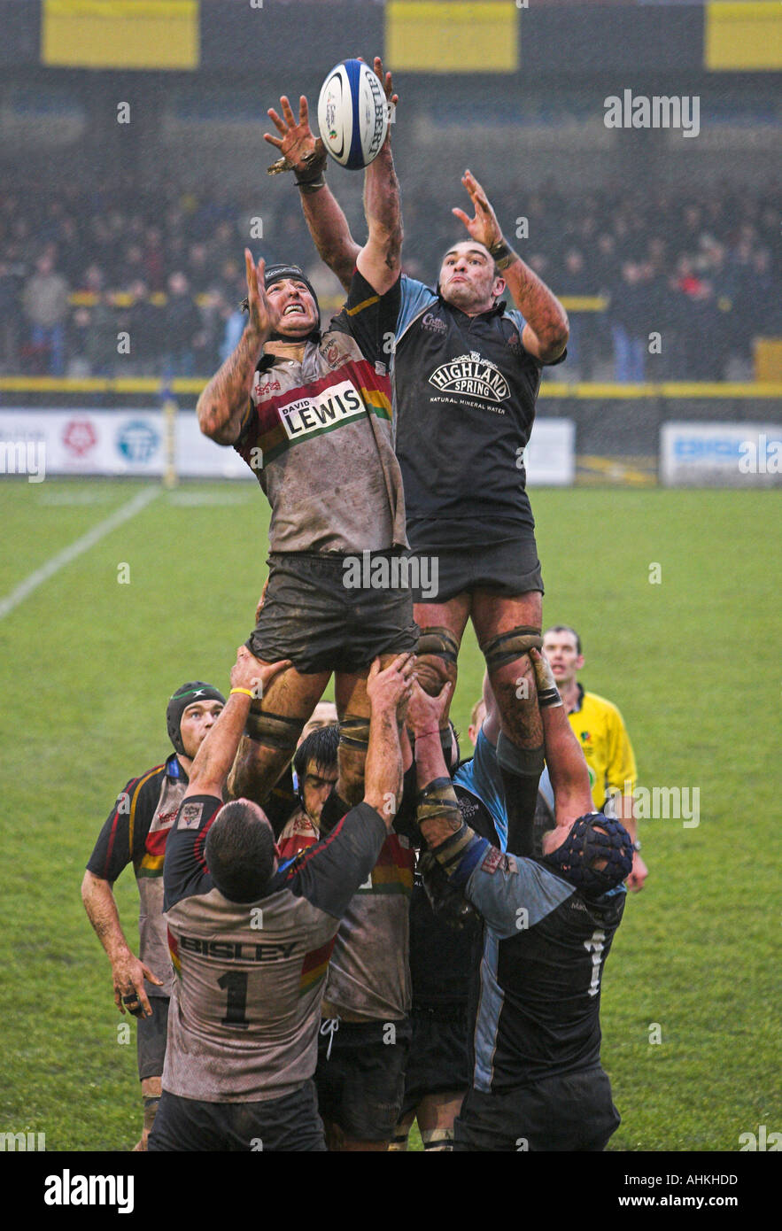 Rugby dragons newport gwent hi-res stock photography and images - Alamy