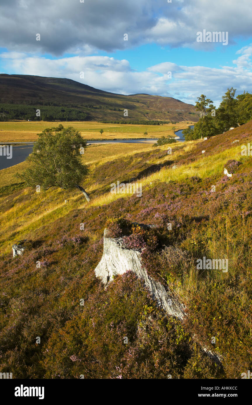 The braemar hi-res stock photography and images - Alamy