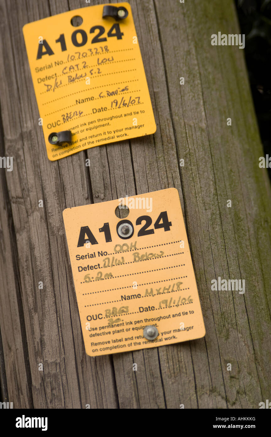 yellow Defect notice fixed on BT telegraph pole uk Stock Photo - Alamy