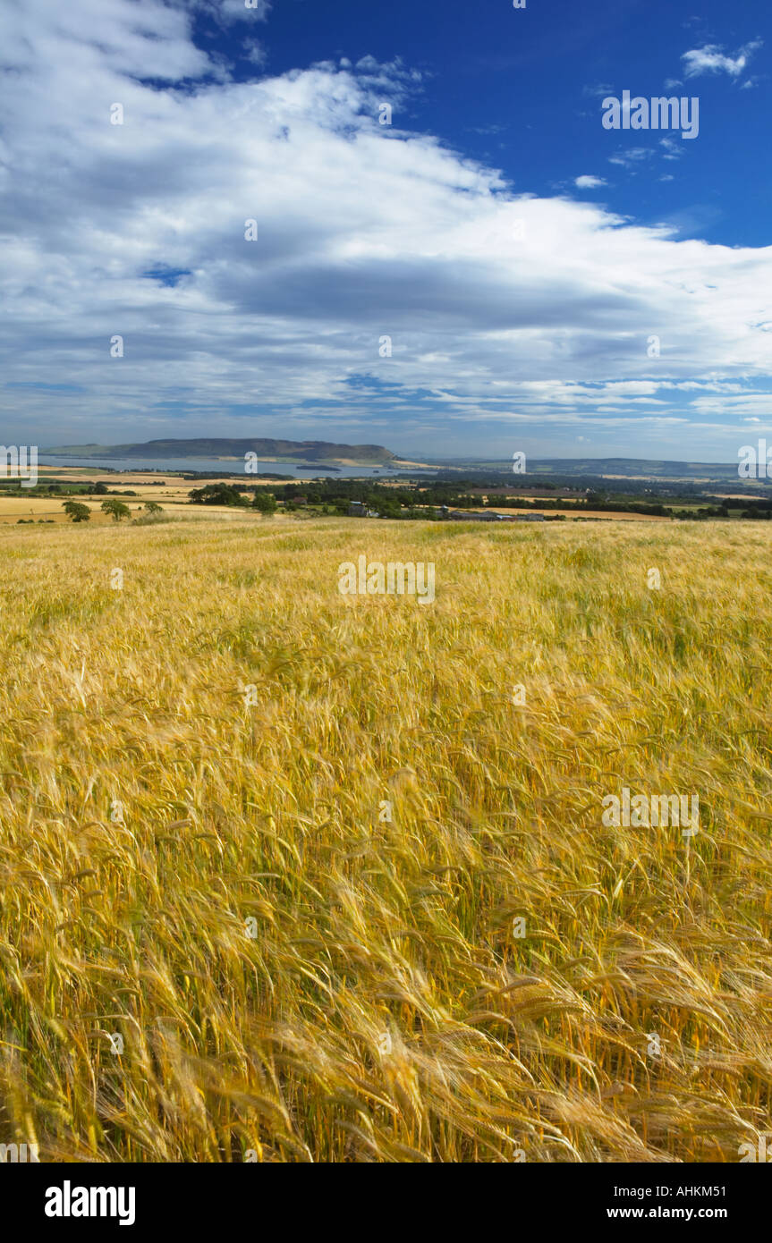 Barley scotland loch hi-res stock photography and images - Alamy