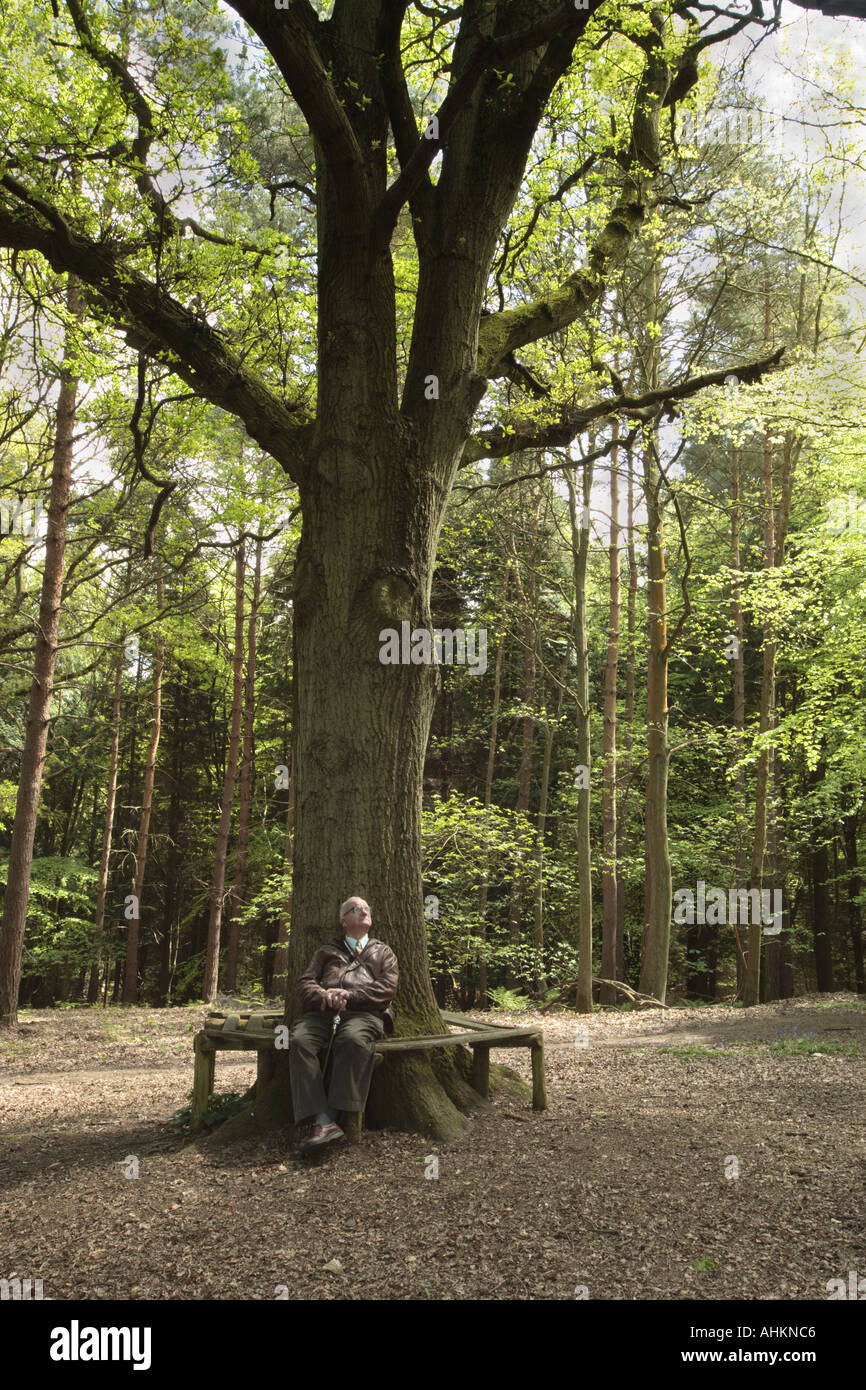 Man sitting under shade tree hi-res stock photography and images - Alamy