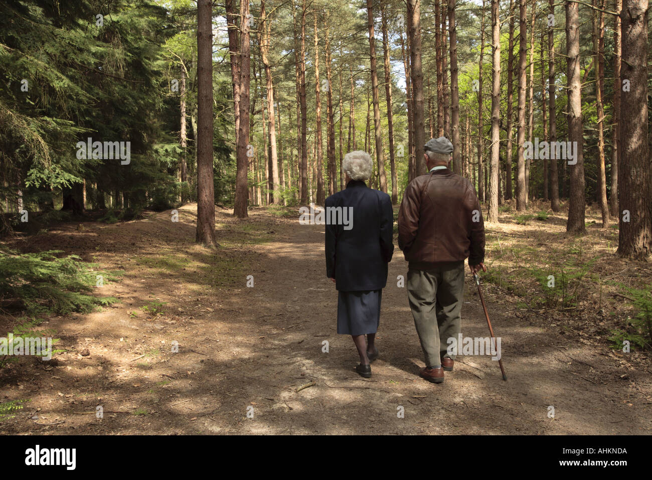 elderly couple walking in the woods at the Chantries Guildford Stock ...