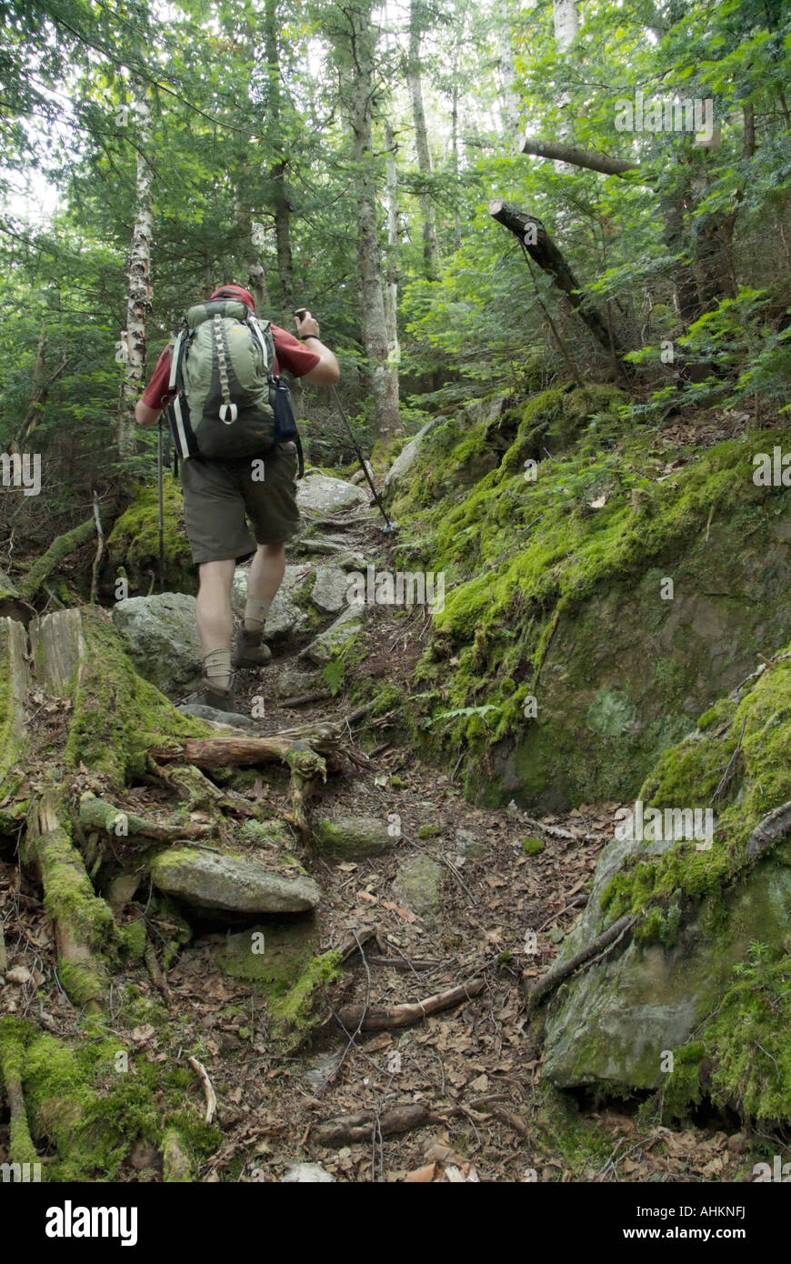 Hiker on Howker Ridge Trail in the White Mountains, New Hampshire USA ...