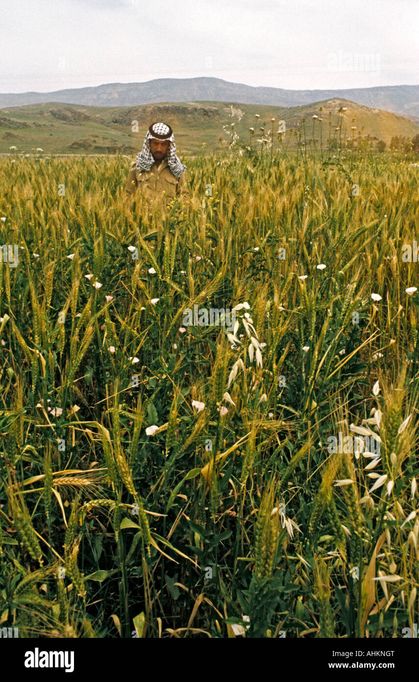 Jordan Farmer High Resolution Stock Photography and Images - Alamy