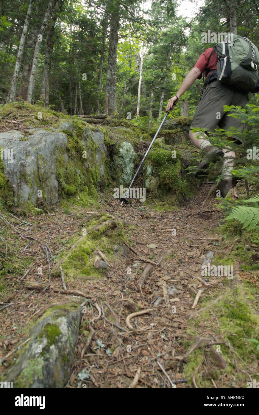 Hiker on Howker Ridge Trail in the White Mountains, New Hampshire USA ...