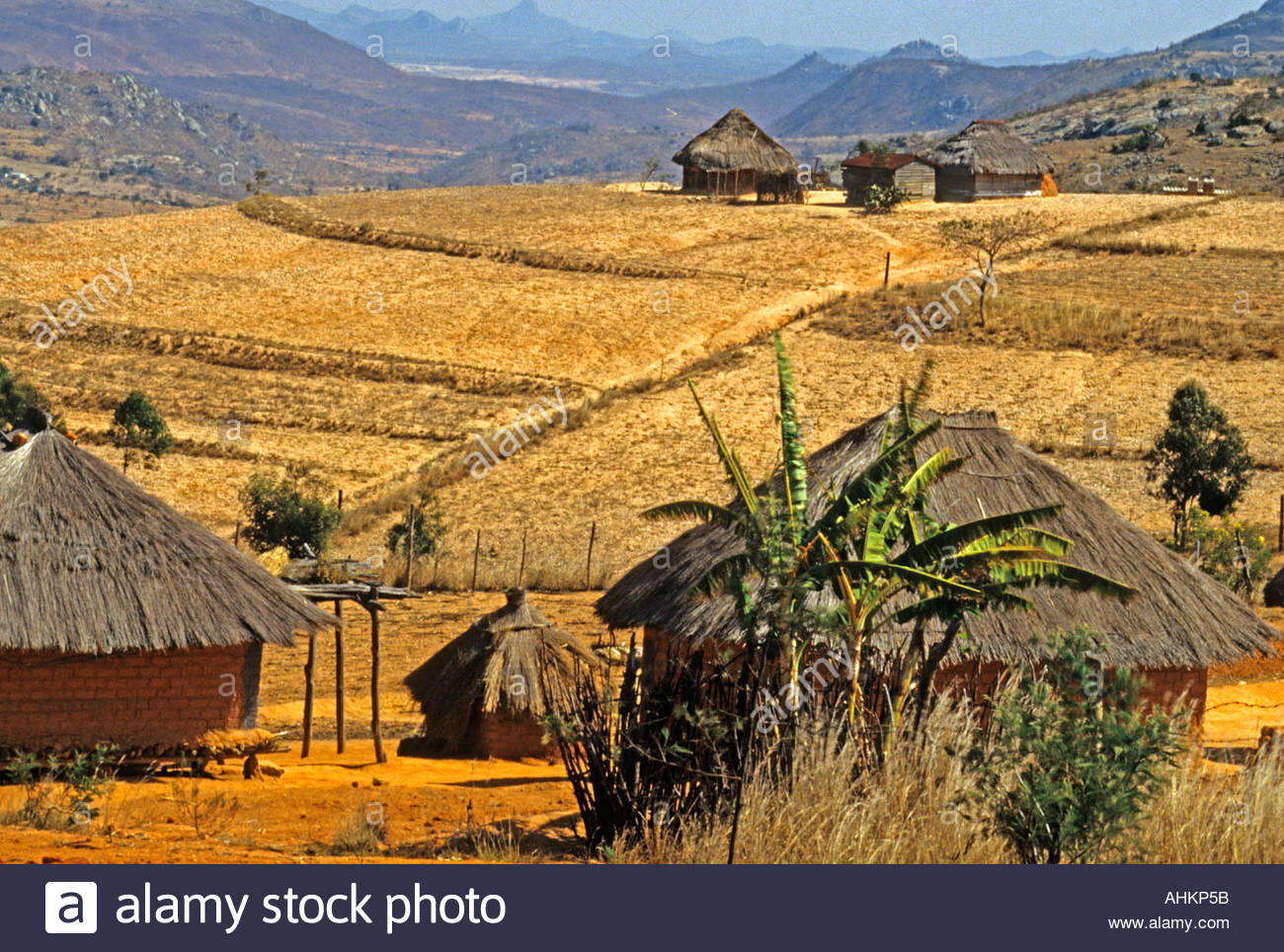 Africa Zimbabwe Huts In Village Stock Photos & Africa Zimbabwe Huts In ...