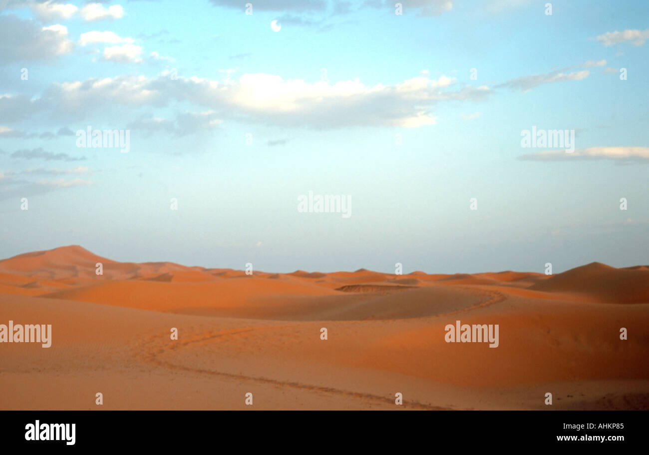 Camel Footprints Through Sahara Desert Stock Photo - Alamy