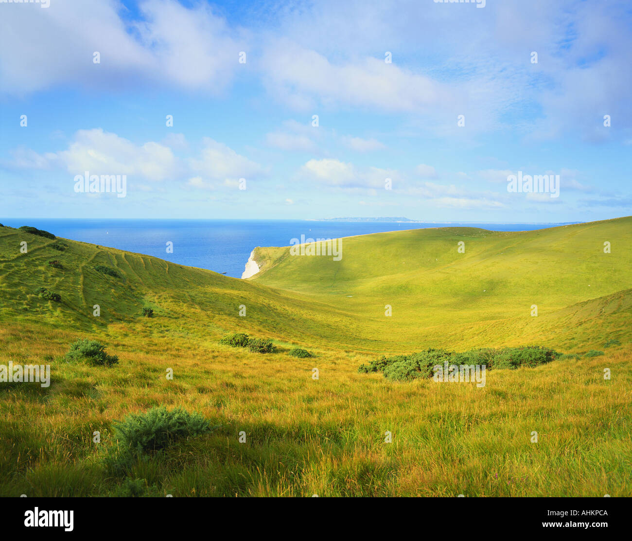 West chaldon hi-res stock photography and images - Alamy