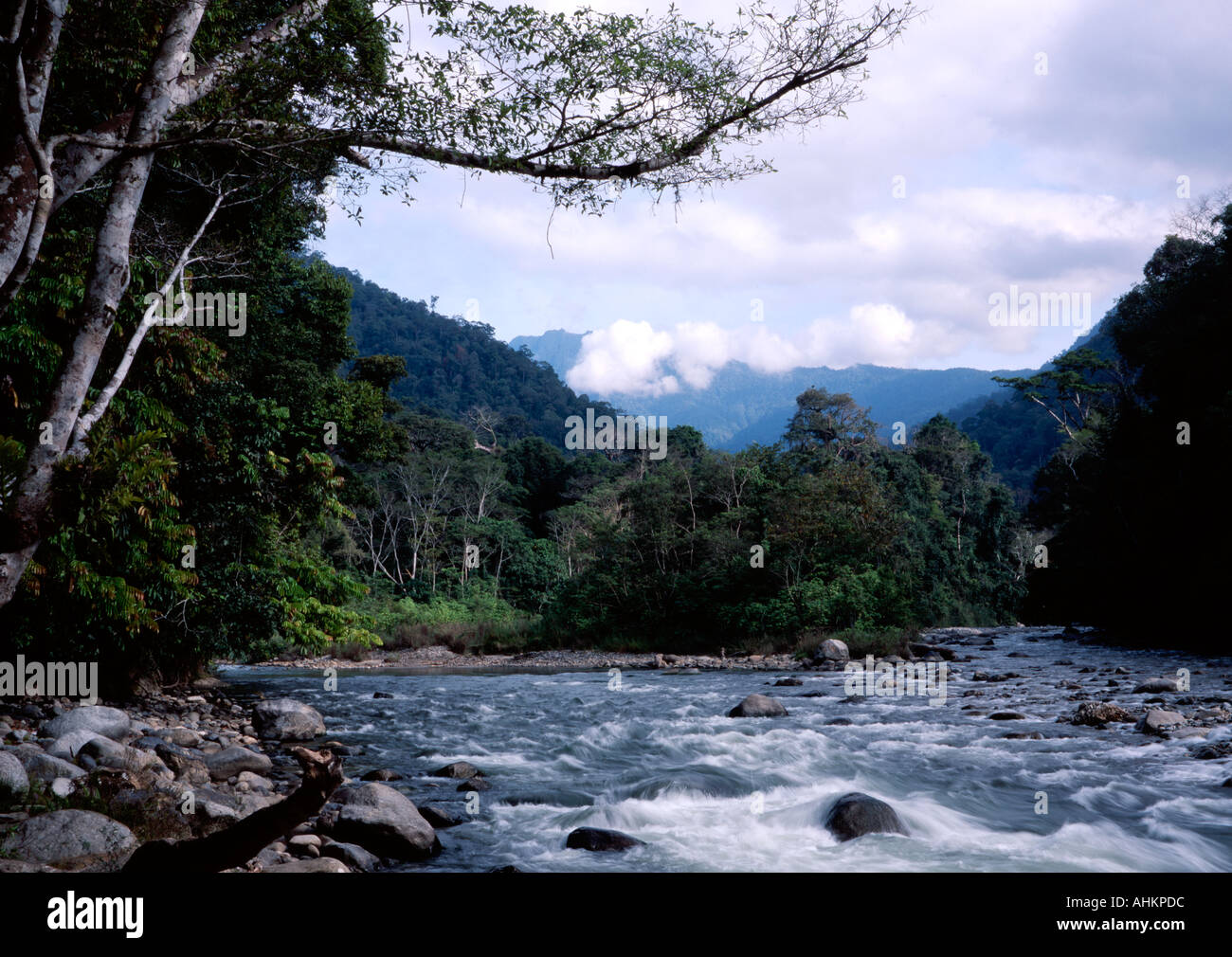 Alas river sumatra hi-res stock photography and images - Alamy