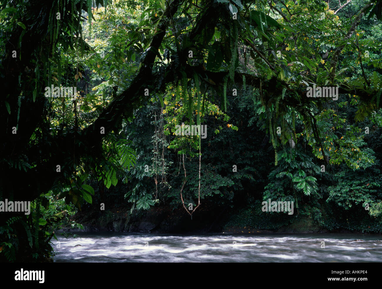 Alas river sumatra hi-res stock photography and images - Alamy