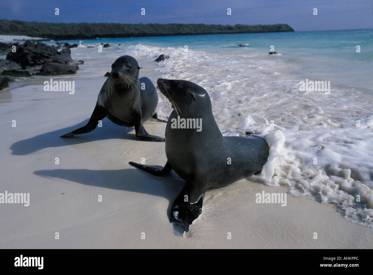 Wade the sea hi-res stock photography and images - Alamy