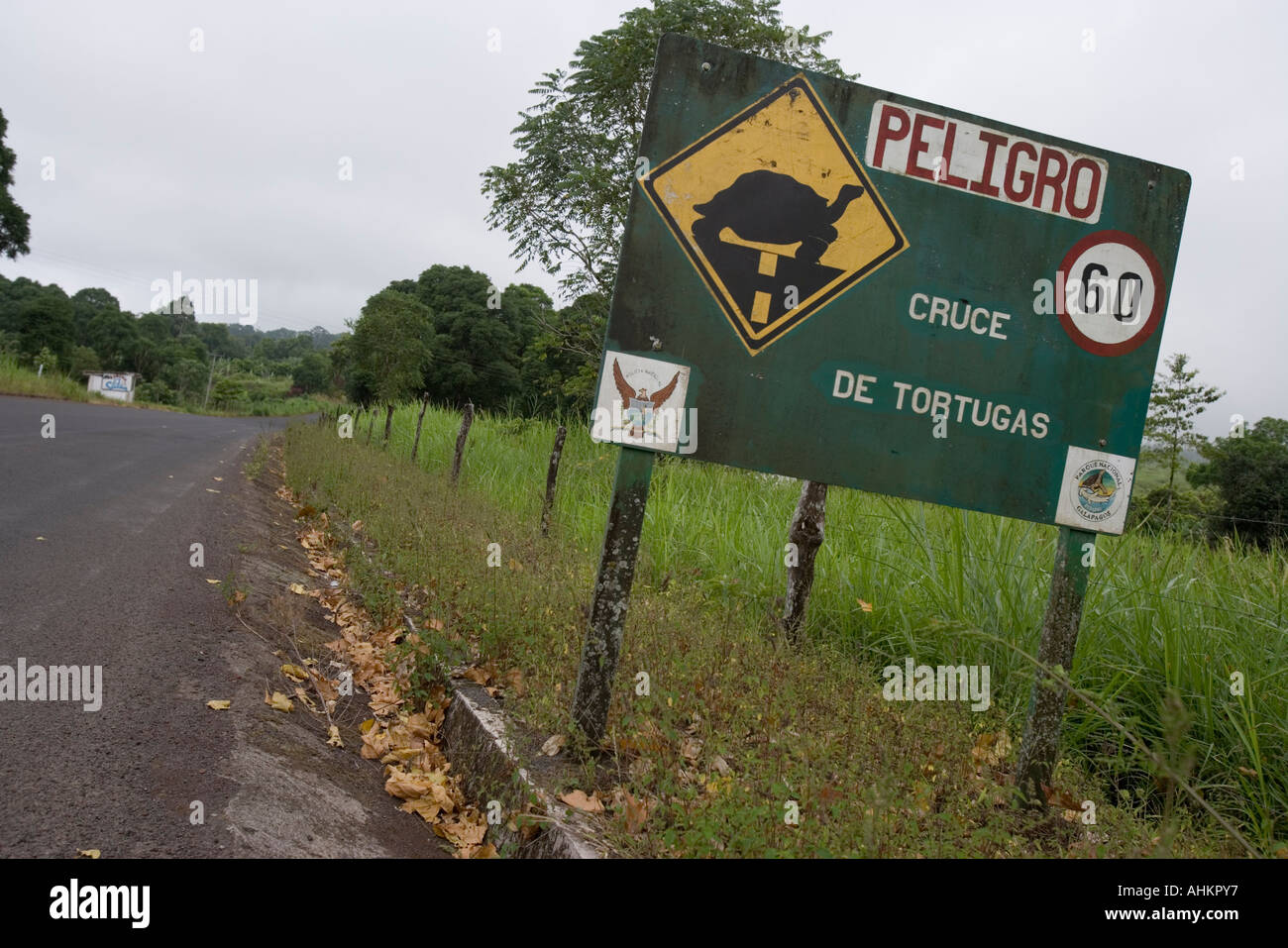 Ecuador Galapagos Islands Tortoise Crossing road sign along highway on ...