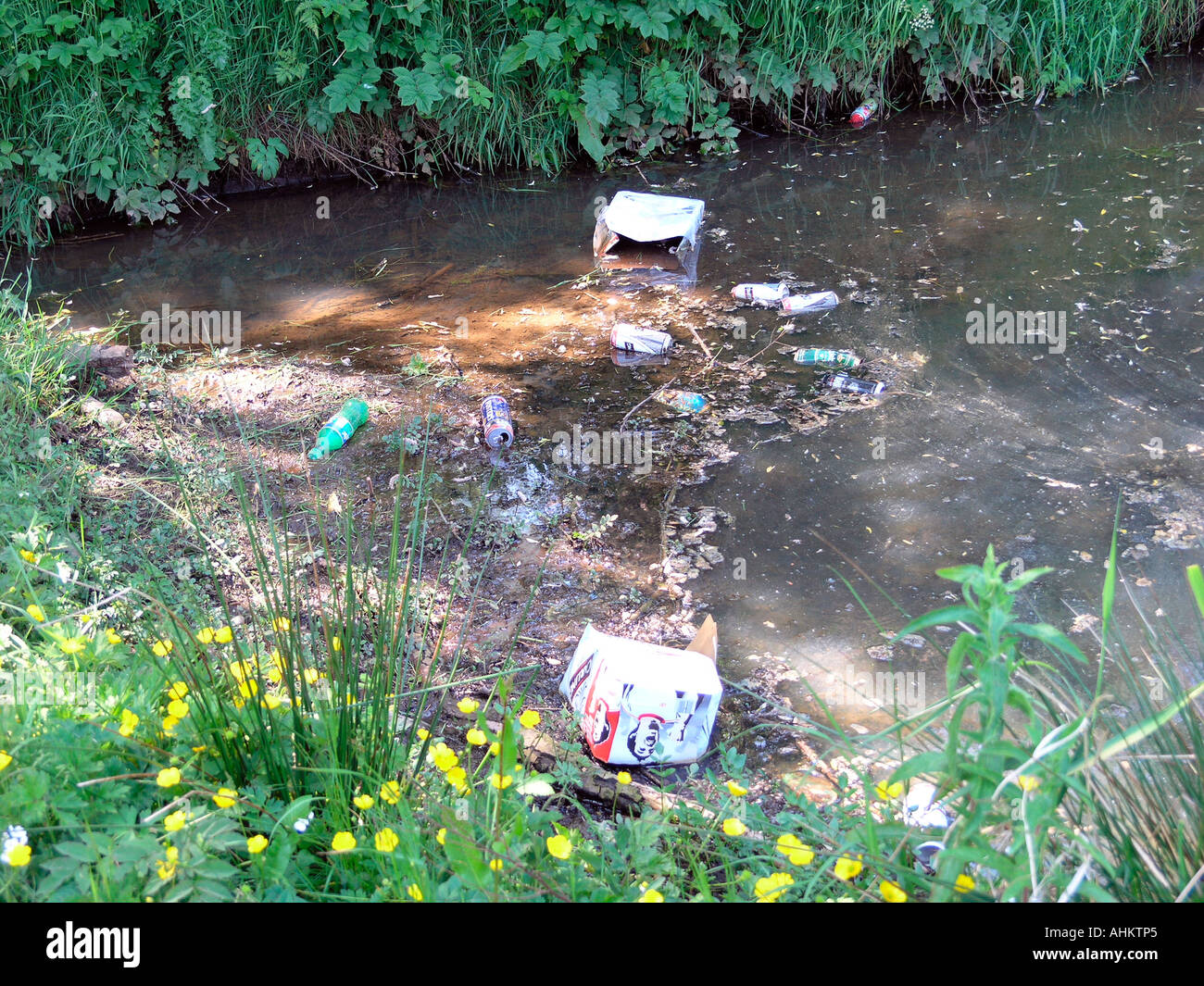 Rubbish dumped into a pond Stock Photo - Alamy