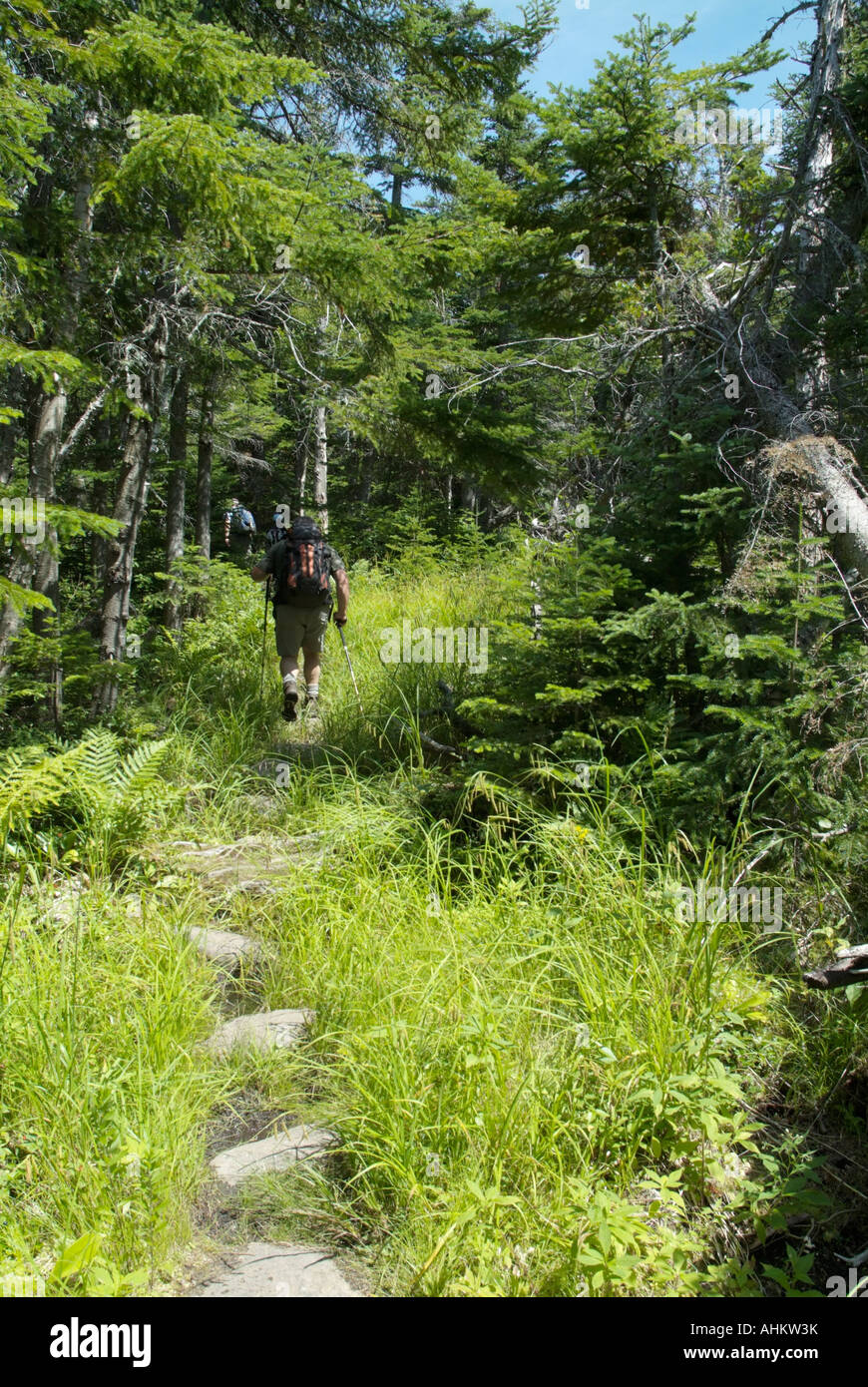 white mountains, new hampshire, hike,path,trail Stock Photo - Alamy