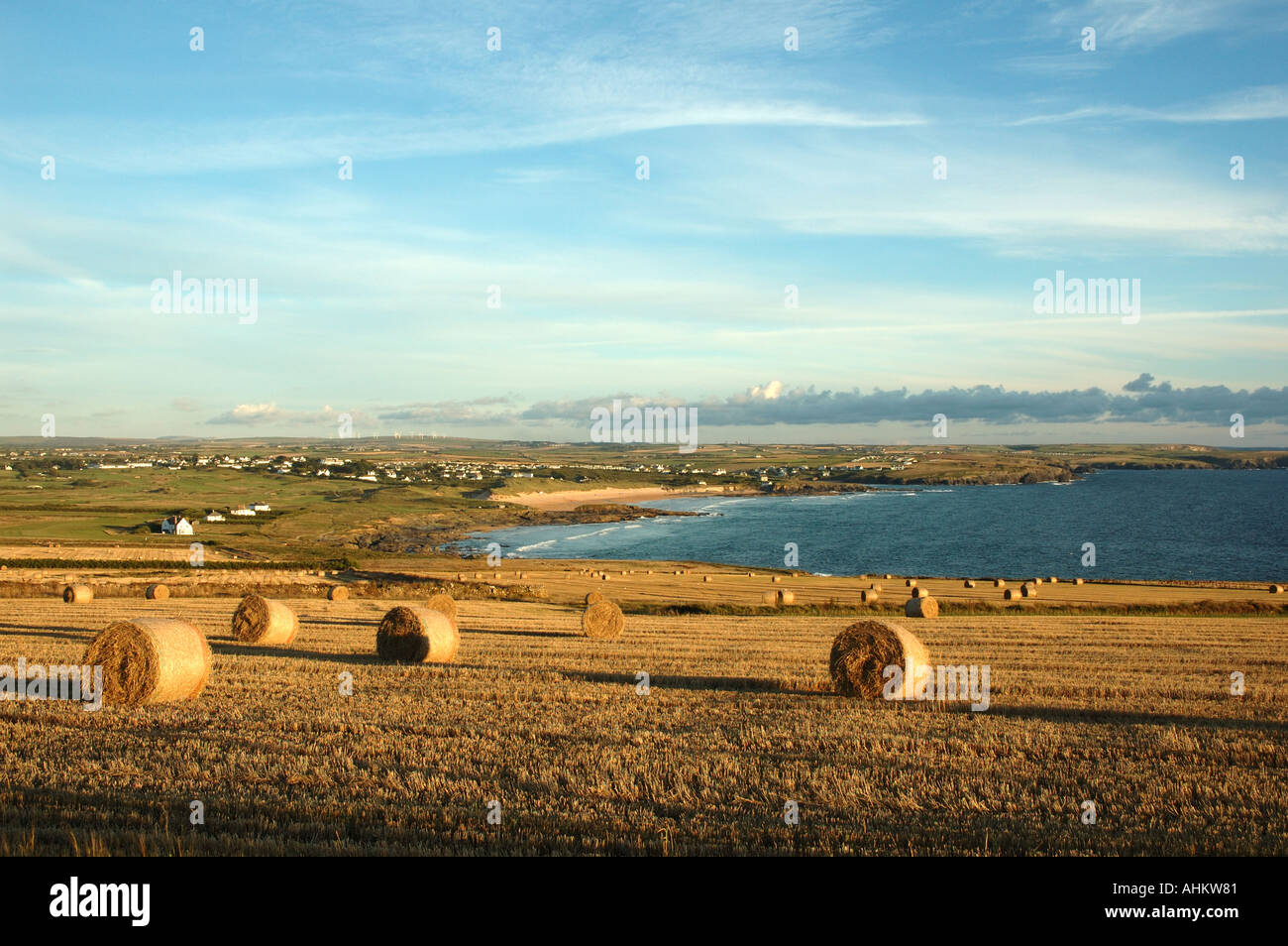 Cornwall agriculture hi-res stock photography and images - Alamy