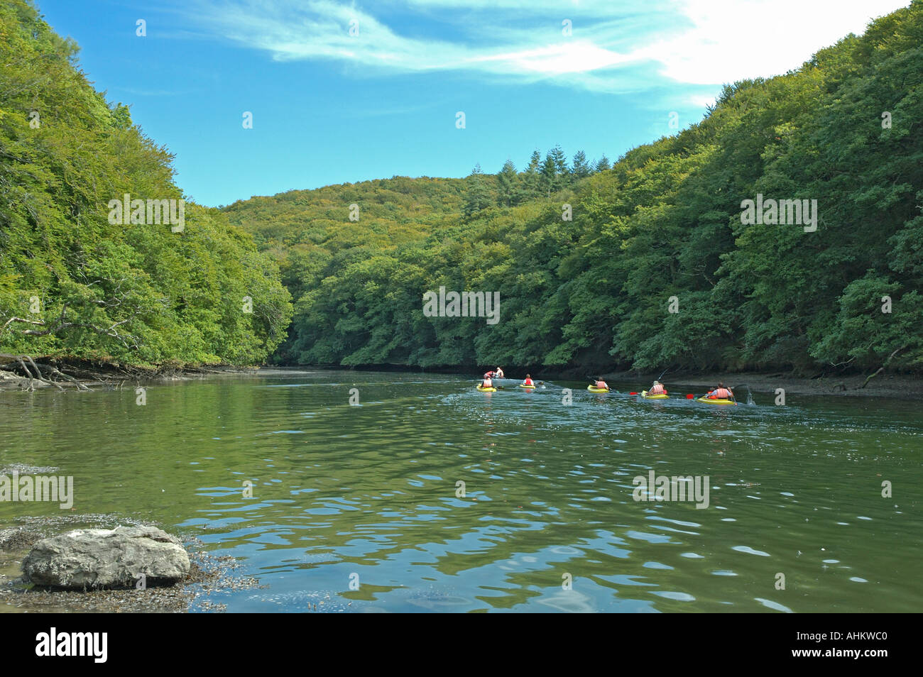 River Lerryn, Cornwall High Resolution Stock Photography and Images - Alamy