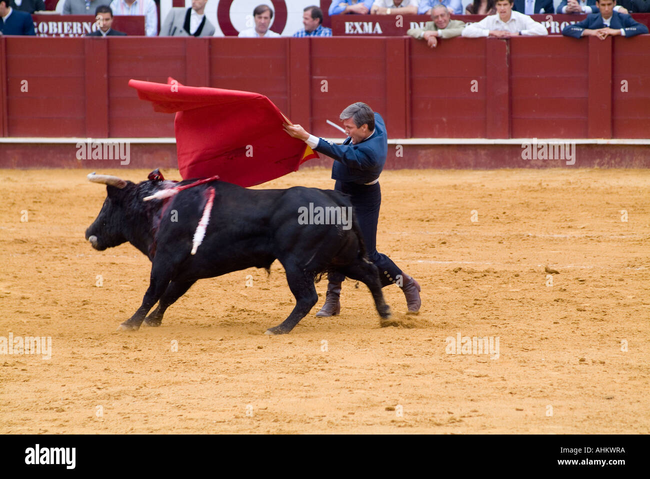 Toreando, dance between the fighter and bull Stock Photo - Alamy