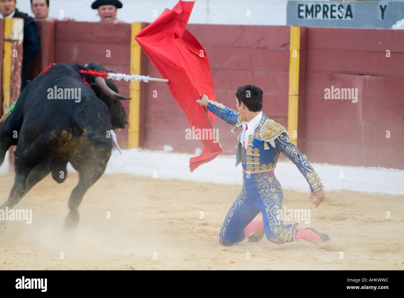Toreando, dance between the fighter and bull Stock Photo - Alamy