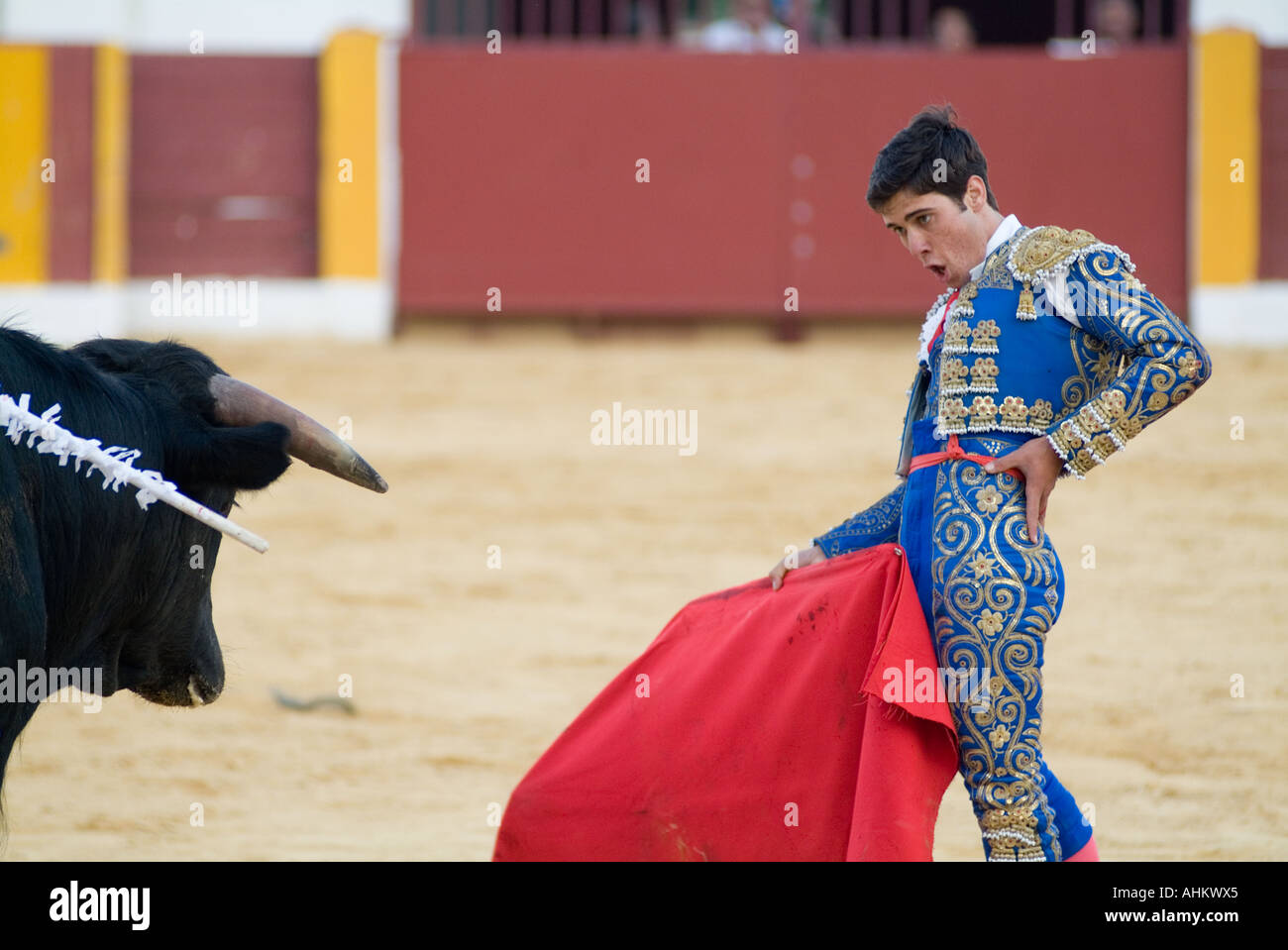 Matador challenging the bull Stock Photo - Alamy