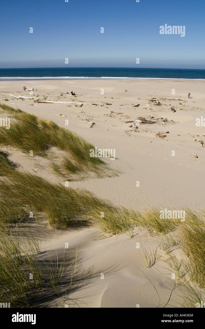 A scenic view of the South Jetty River beach in Florence, Oregon Stock ...