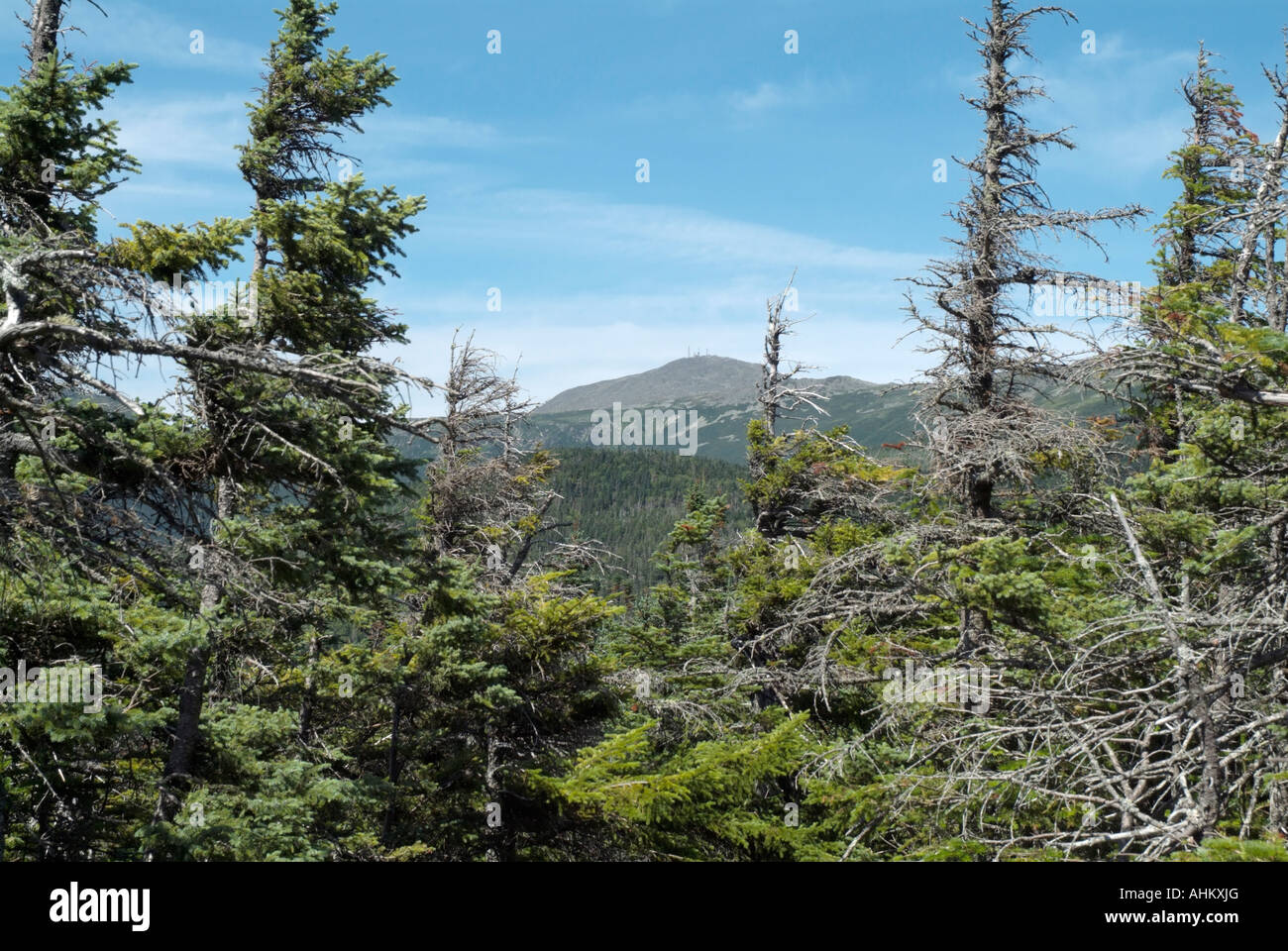Mount Washington from Davis Path Located in the White Mountains New ...