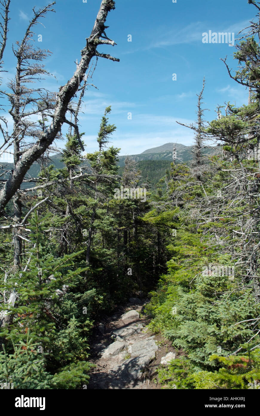 Mount Washington from Davis Path Located in the White Mountains New ...