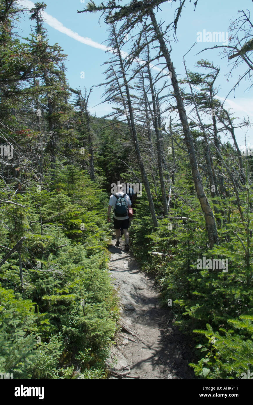 Hikers on the Davis Path during the summer months in the scenic ...