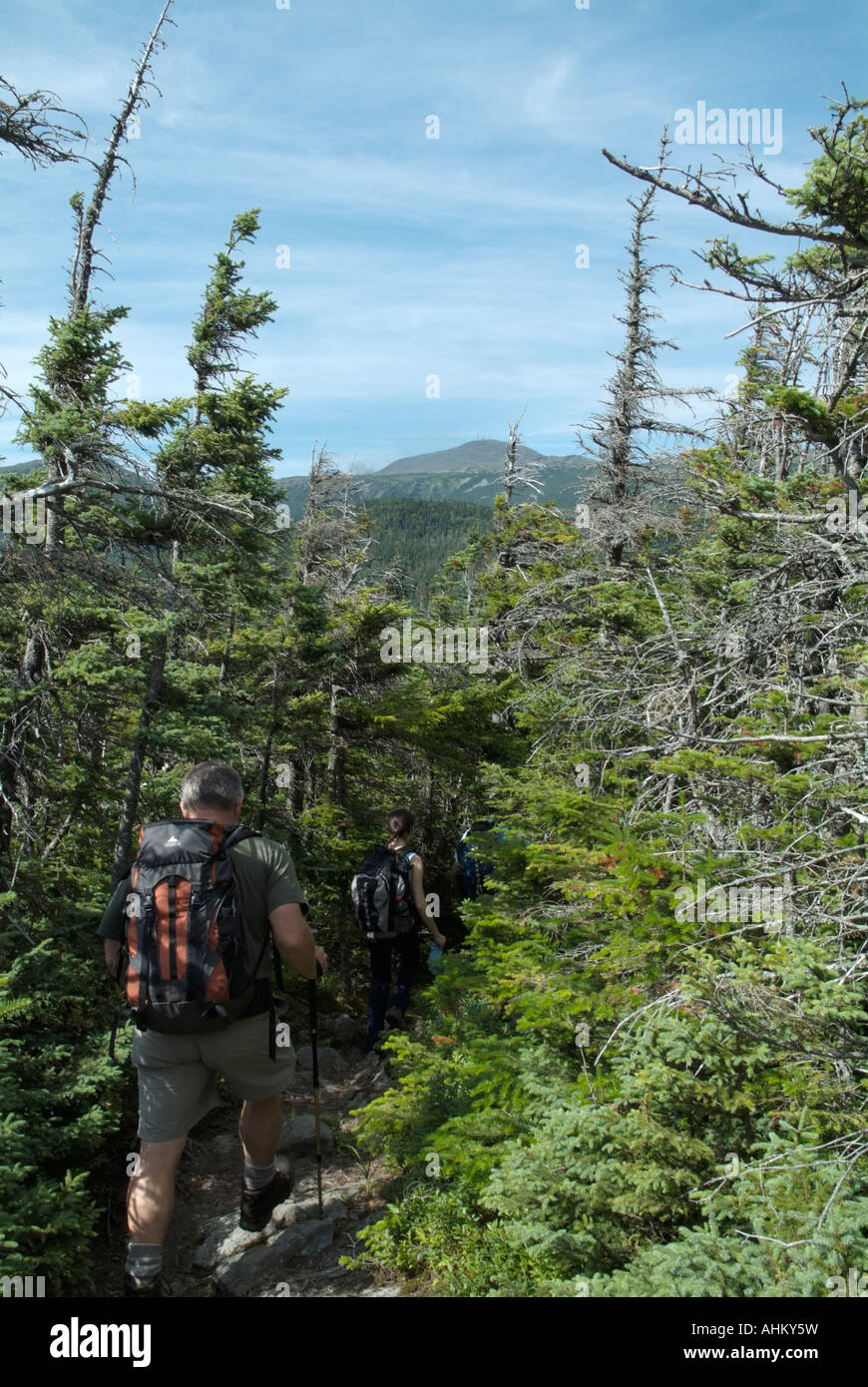 white mountains, new hampshire, hike,path,trail Stock Photo - Alamy