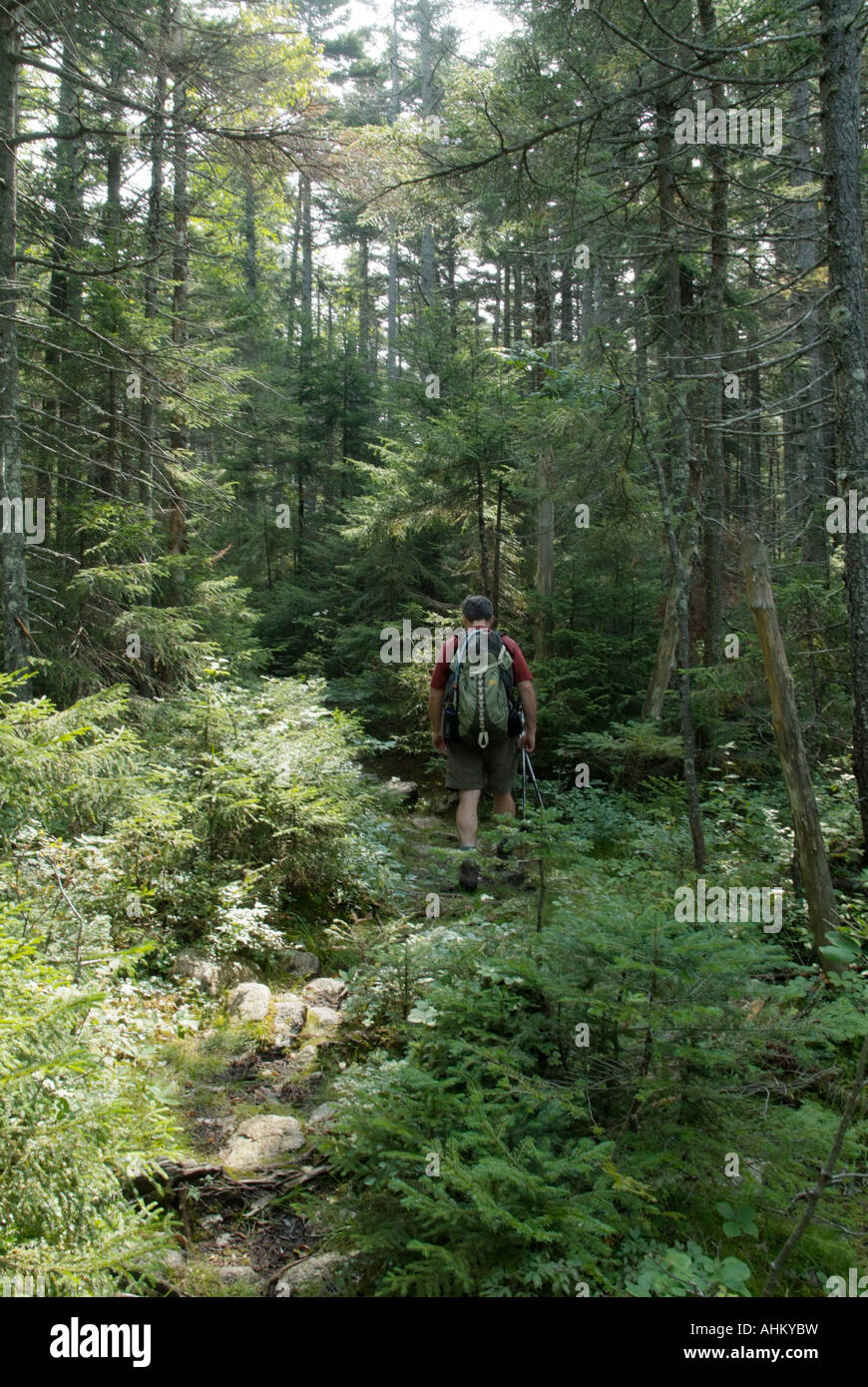 A hiker on Hancock Notch Trail during the summer months Located in the ...