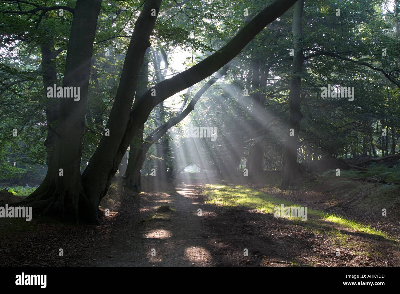 Homecounties hi-res stock photography and images - Alamy