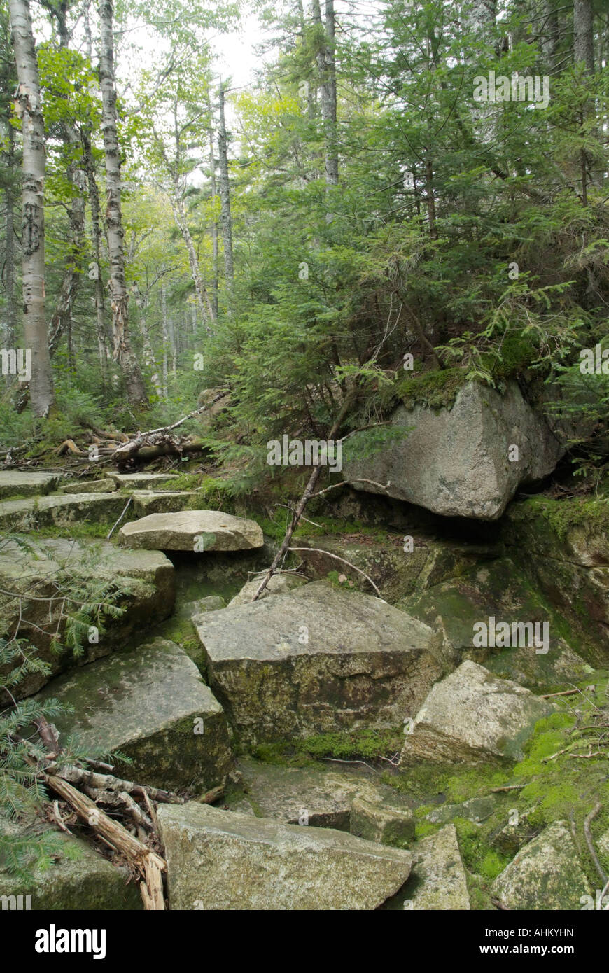 The rocky Hancock Notch Trail during the summer months Located in the ...